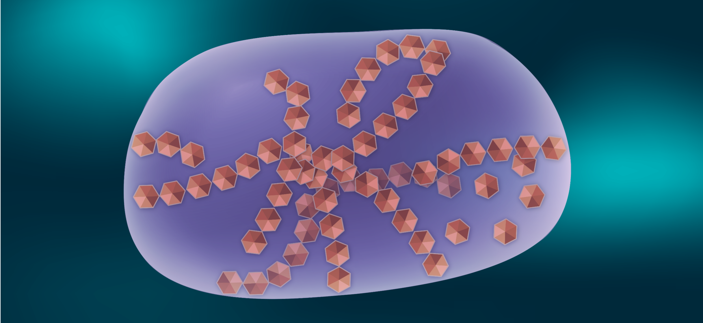 What is Late-Onset Pompe Disease (LOPD)? | NEXVIAZYME® (avalglucosidase ...